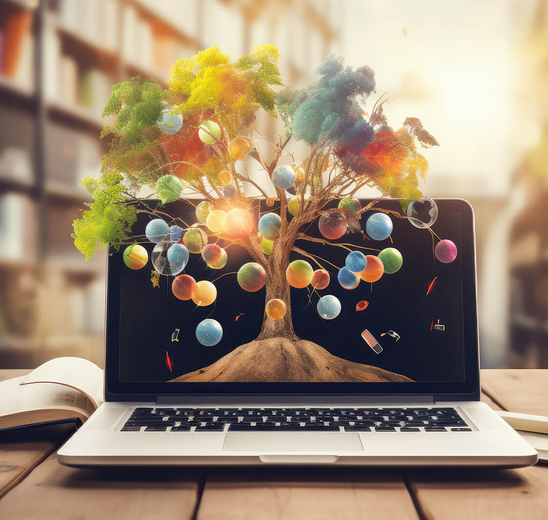 Microsoft Showcase School Programme