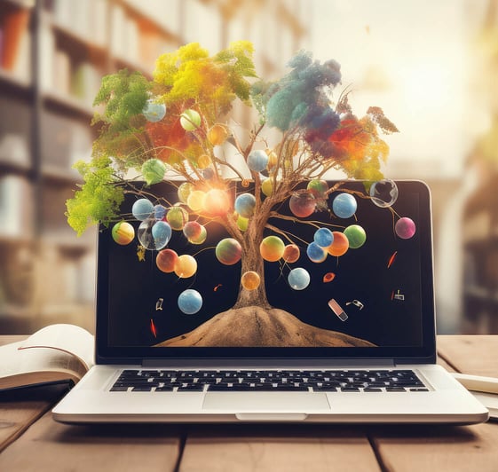 Microsoft Showcase School Programme