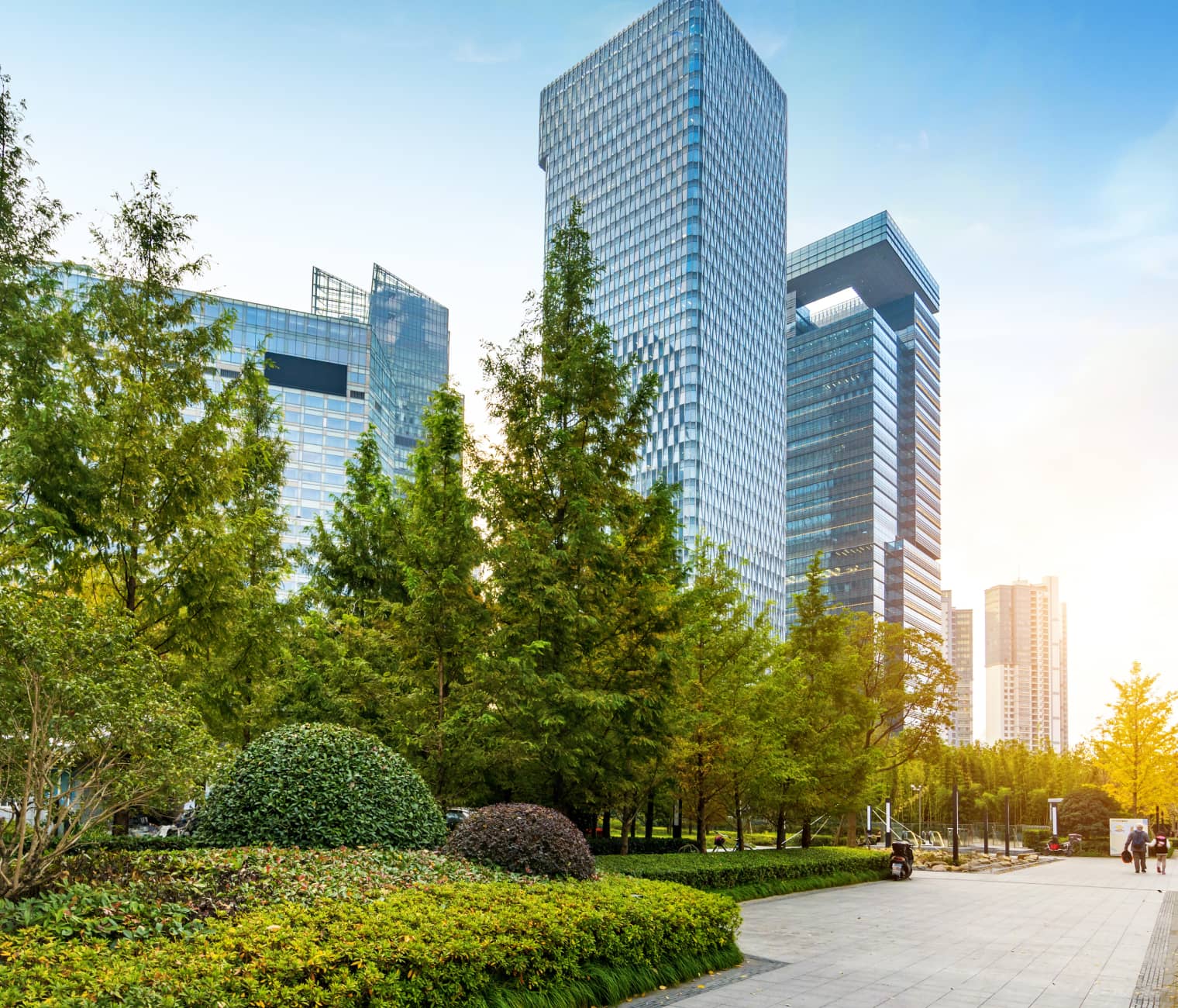 Building operating models for Flex and more - Wavenet Connected